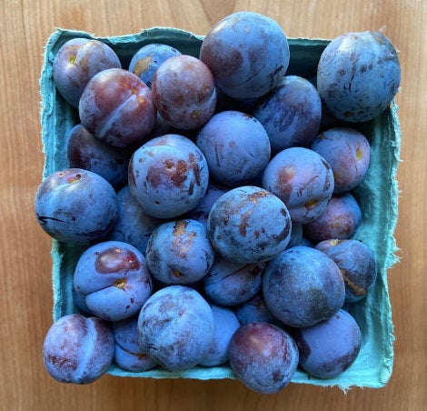 damson plum